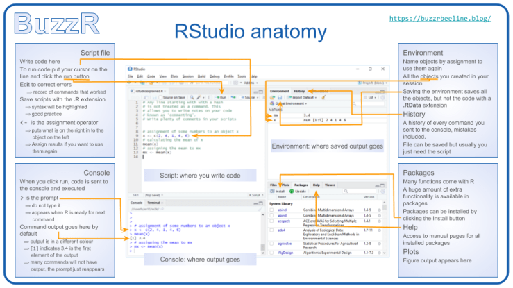RStudio Anatomy – Emma R